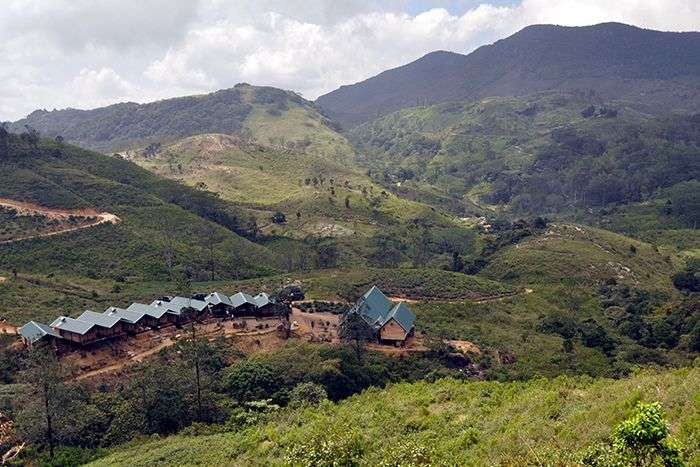 Wild Glamping Knuckles