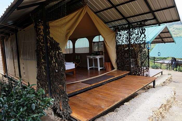 Wild Glamping Knuckles